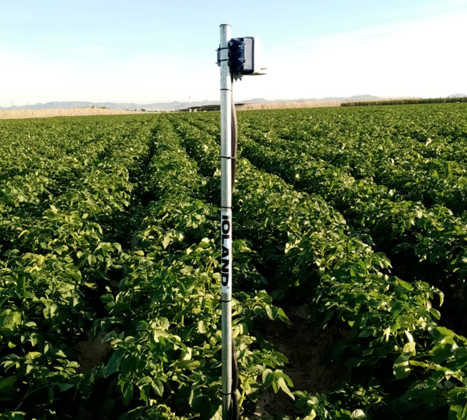 Beneficios de las estaciones y monitoreo del riego – Ioland