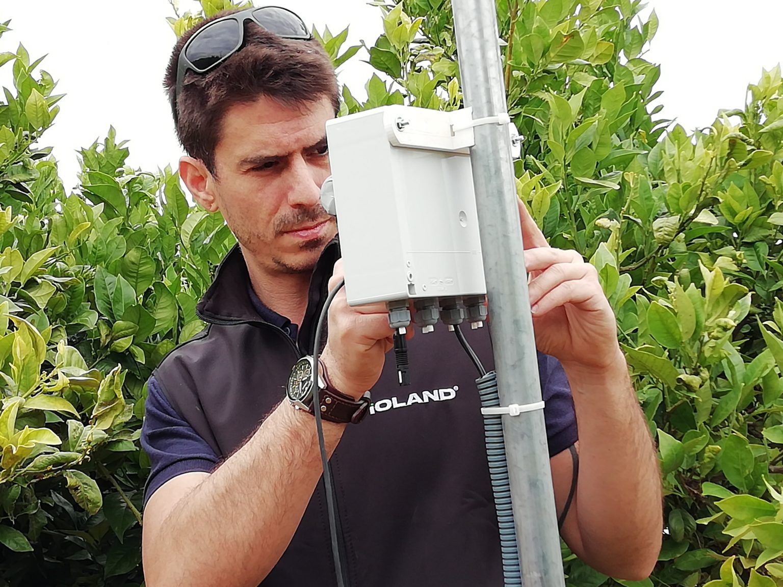 Cómo instalar de forma correcta un sensor de monitoreo del riego – Ioland